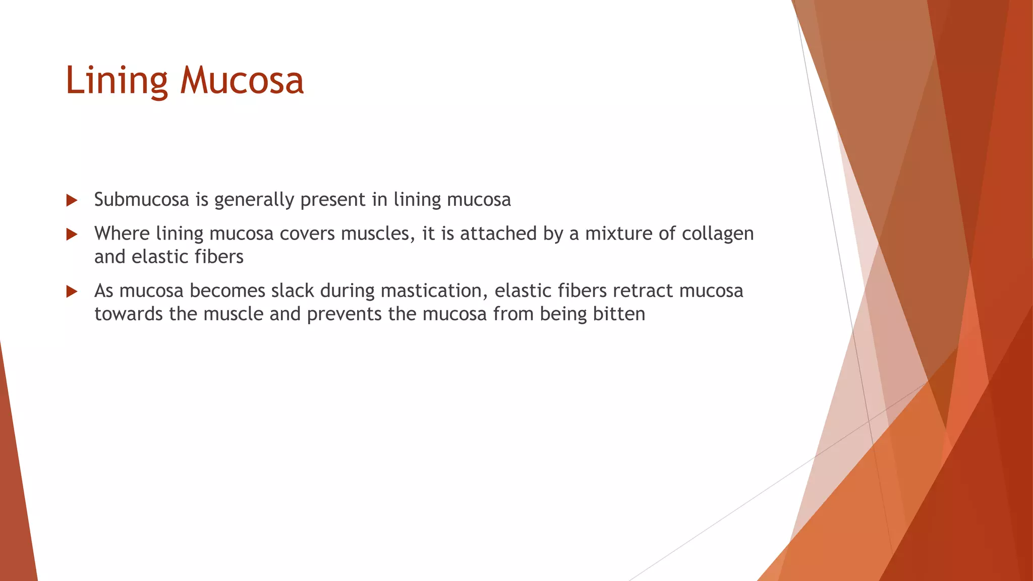 Types of oral mucosa | PPTX