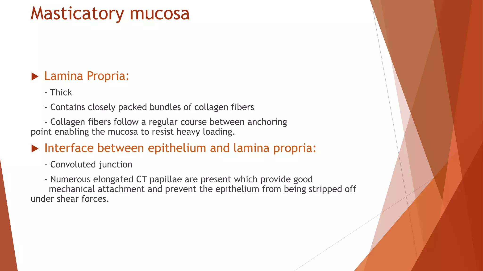 Types of oral mucosa | PPTX