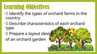 Types_of_Orchard_Farms_and_Layout_TLE6.pptx