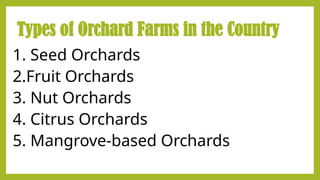 Types_of_Orchard_Farms_and_Layout_TLE6.pptx