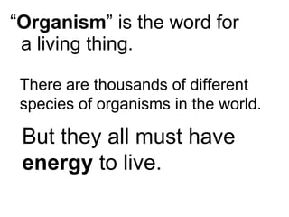 Types of organisms | PPT
