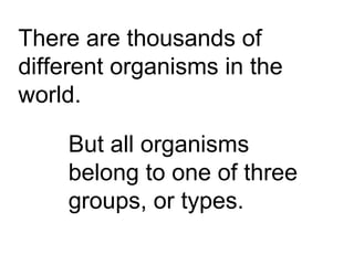 Types of organisms | PPT