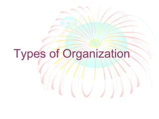 Types of organization | PPT
