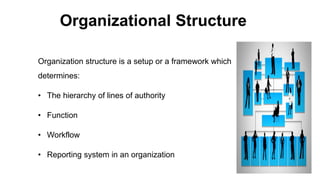 Types of organizational structure | PPTX