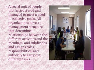 Types of organization cwm | PPTX