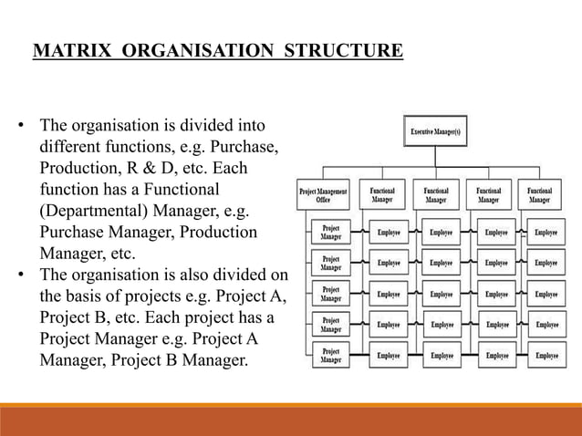 Types of organization structures | PPTX | Business | Business and Finance