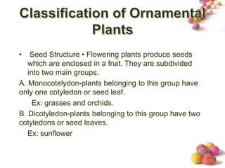 Types-of-ornamental-plants | PPTX