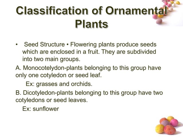 Types-of-ornamental-plants | PPTX