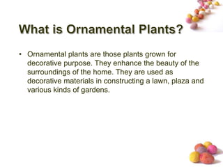 Discover the meaning of decorative definition in design and art