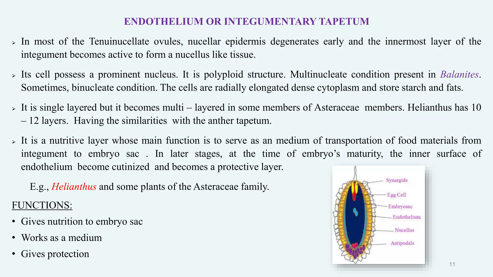TYPES OF OVULES.pptx