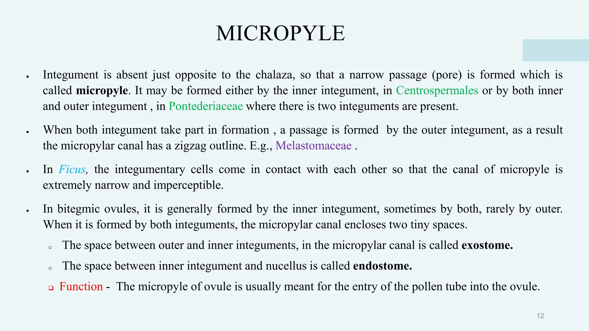 TYPES OF OVULES.pptx