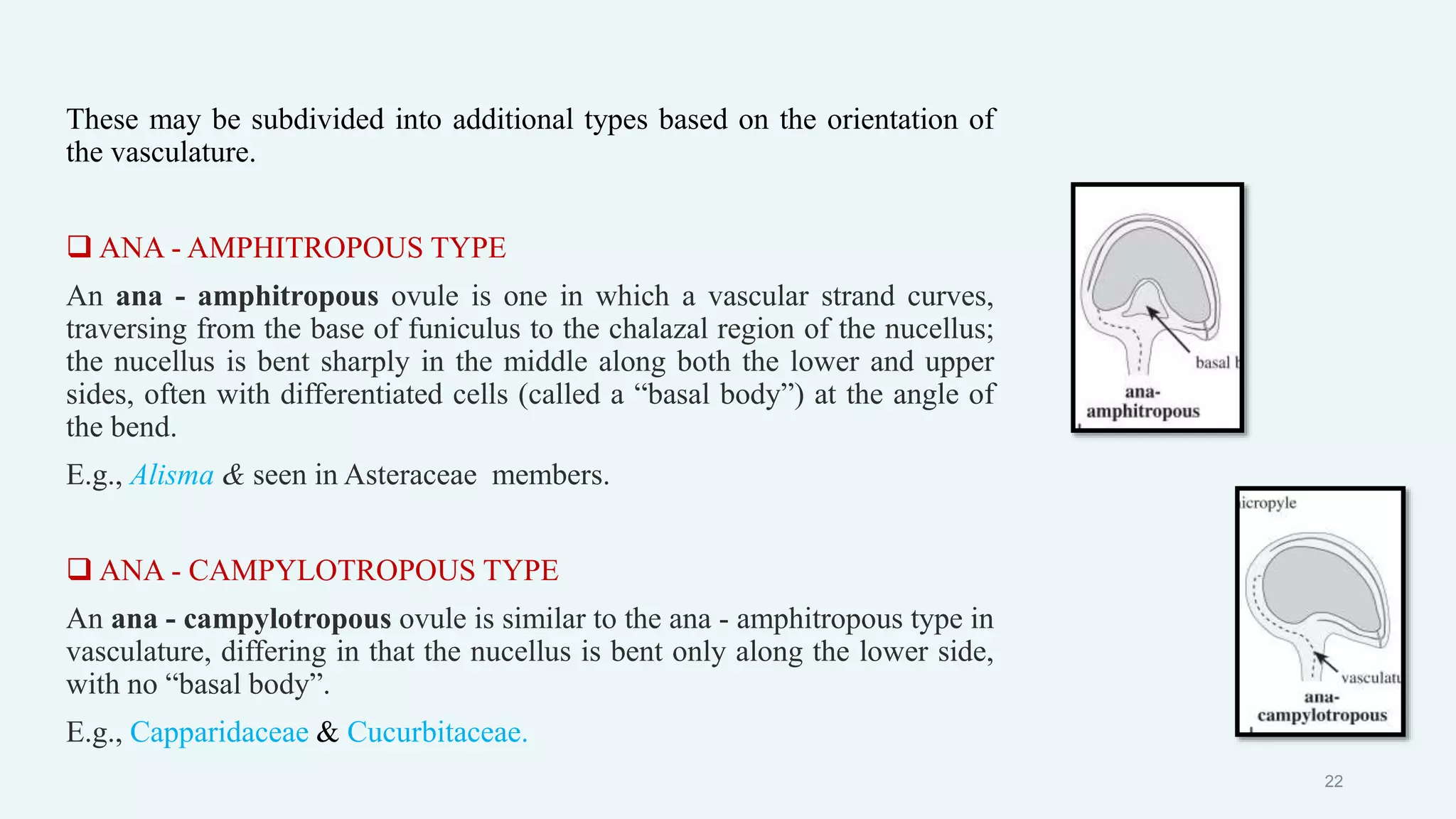 TYPES OF OVULES.pptx