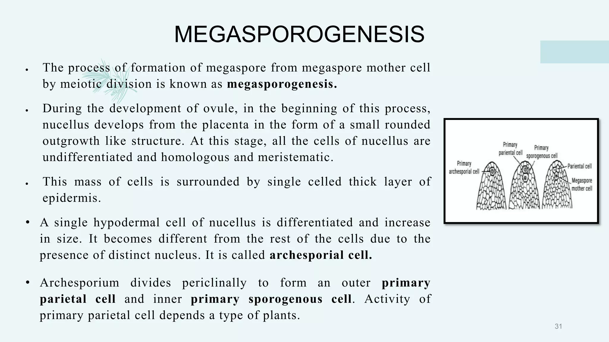 TYPES OF OVULES.pptx
