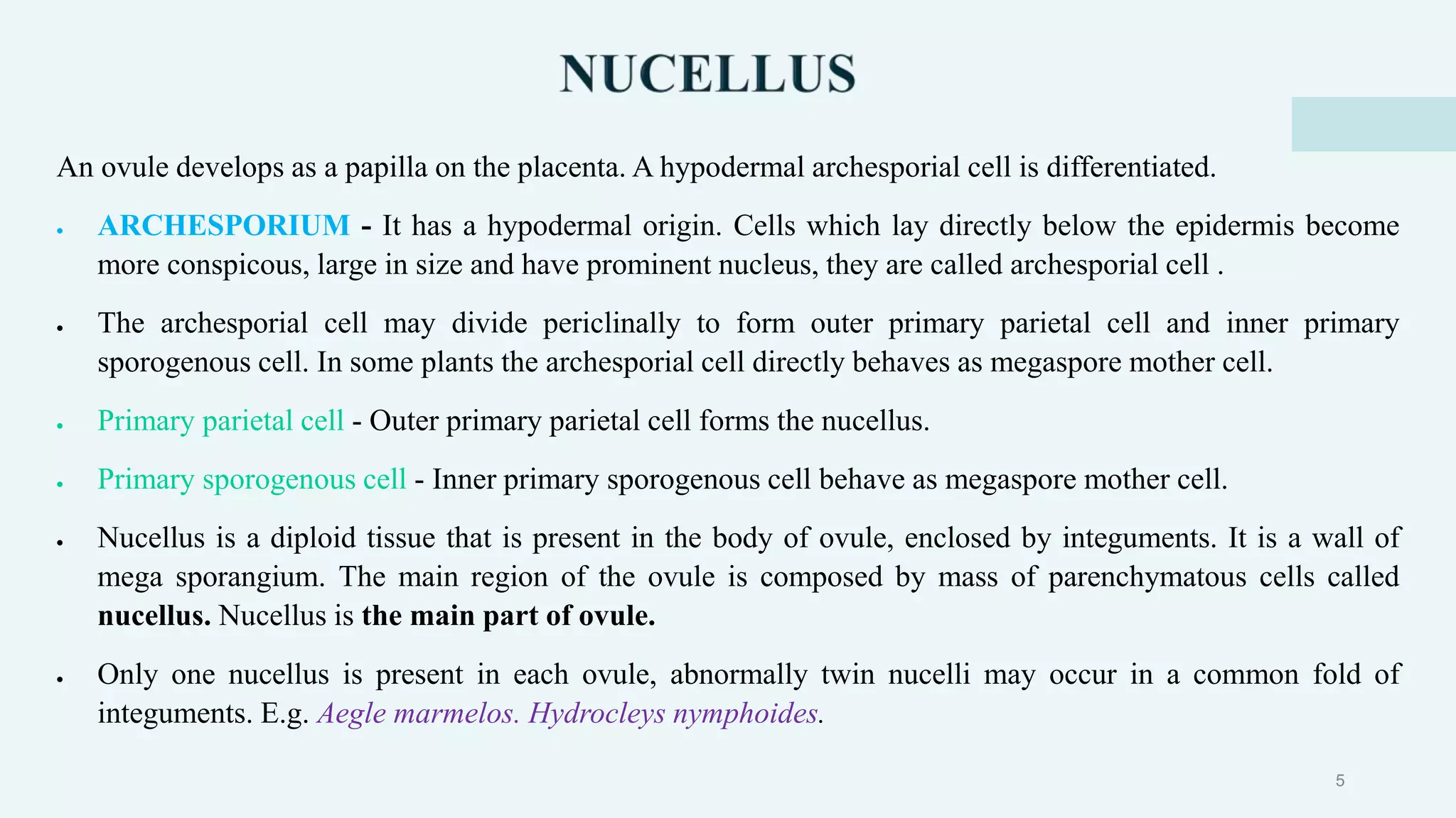 TYPES OF OVULES.pptx