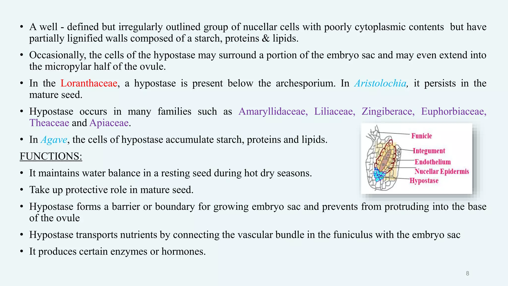 TYPES OF OVULES.pptx