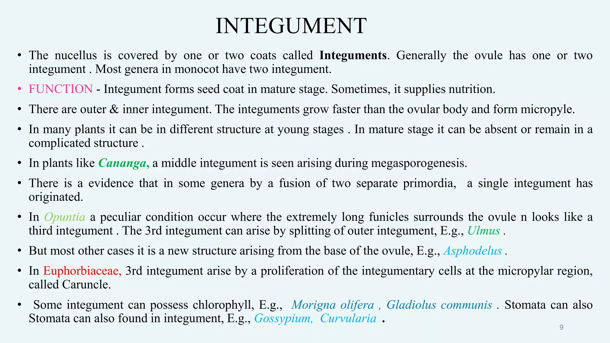 TYPES OF OVULES.pptx