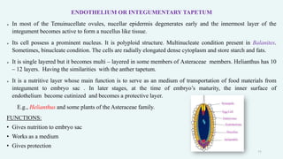 TYPES OF OVULES.pptx
