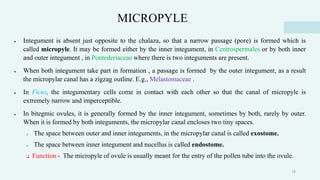 TYPES OF OVULES.pptx