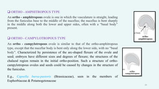 TYPES OF OVULES.pptx
