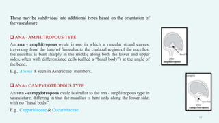 TYPES OF OVULES.pptx
