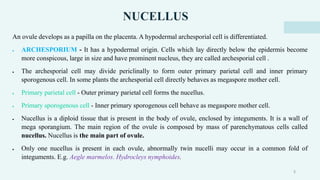TYPES OF OVULES.pptx
