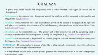 TYPES OF OVULES.pptx