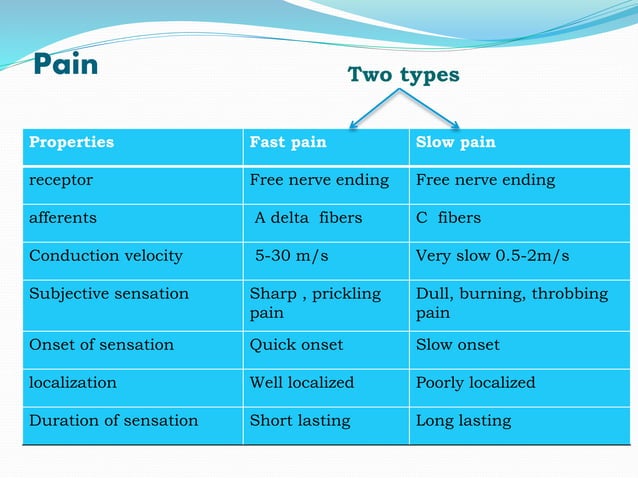 Types of pain | PPTX | Physical Therapy | Wellness