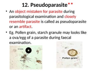 Comprehensive Overview of Parasite Types and Classifications in ...