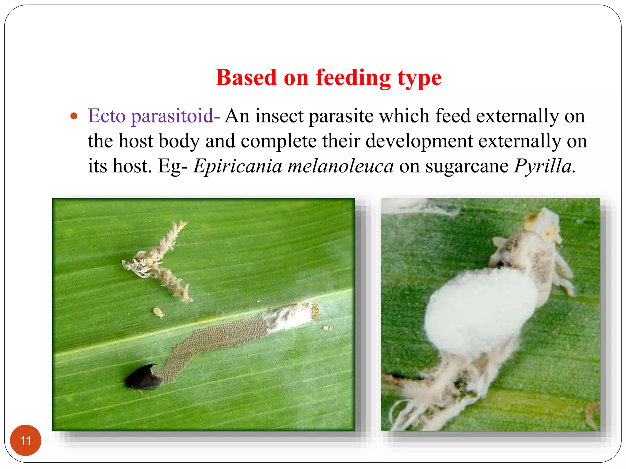 Types of parasitoids and parasitism ppt | PPTX