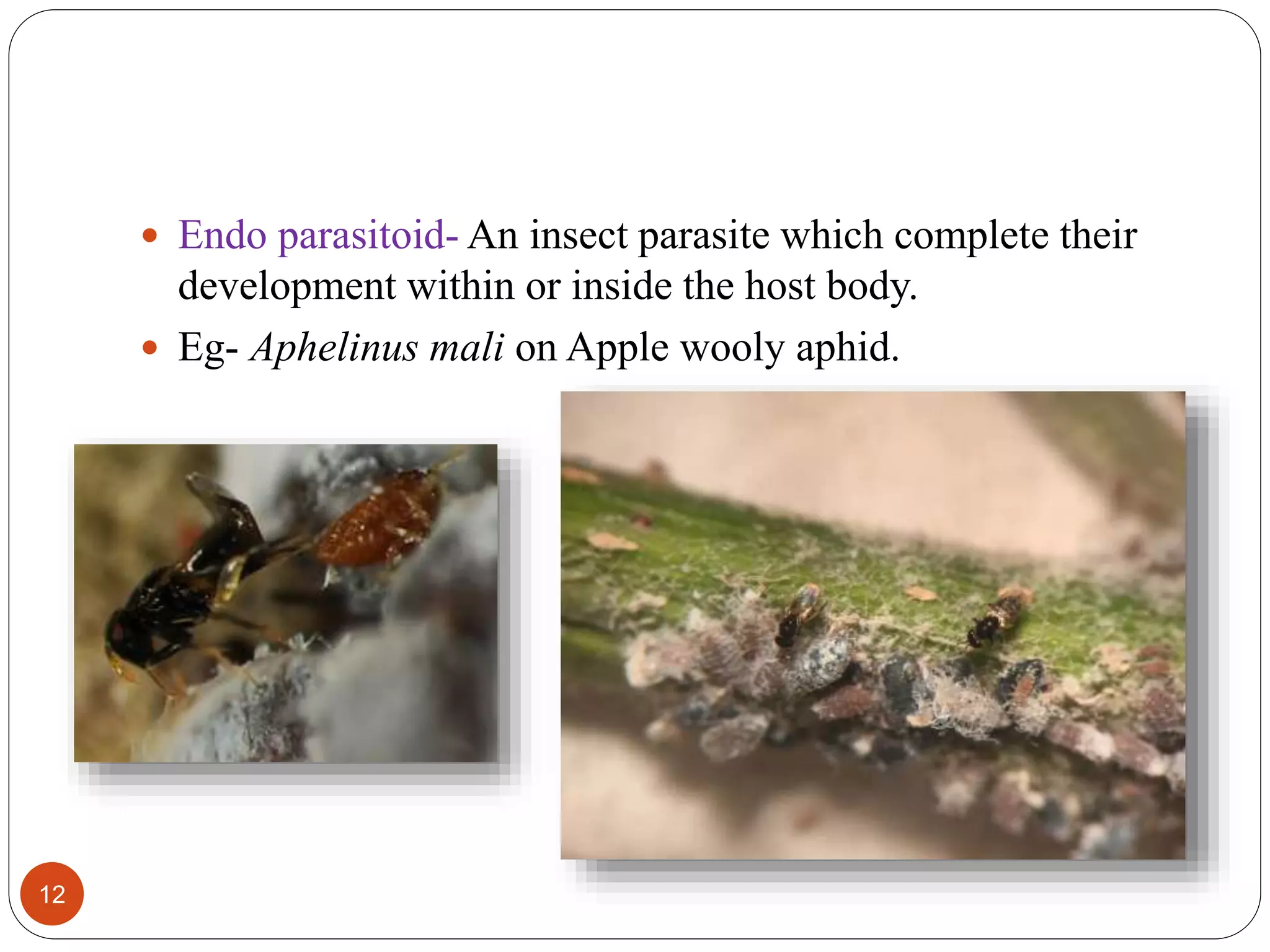 Types of parasitoids and parasitism ppt | PPTX