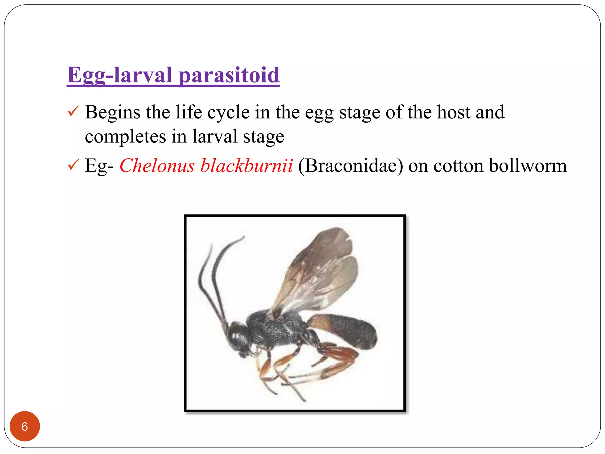Types of parasitoids and parasitism ppt | PPTX