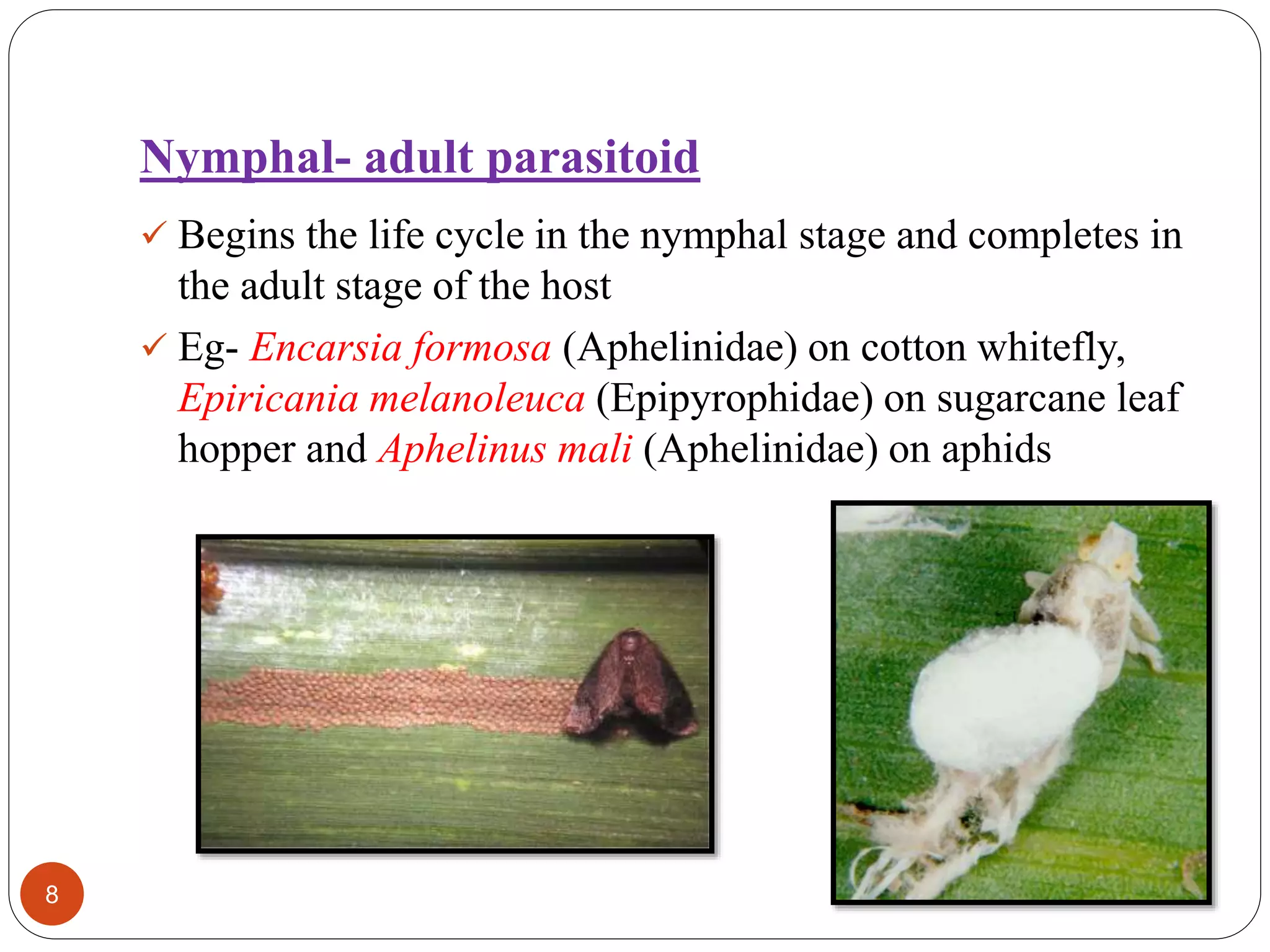 Types of parasitoids and parasitism ppt | PPTX
