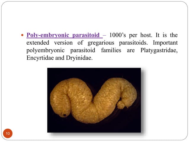 Types of parasitoids and parasitism ppt | PPTX | Infectious Diseases | Diseases and Conditions