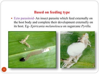 Types of parasitoids and parasitism ppt | PPTX