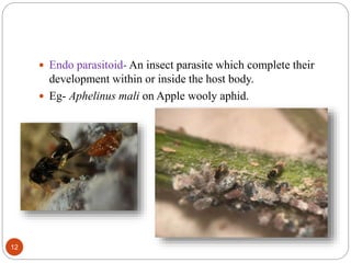 Types of parasitoids and parasitism ppt | PPTX
