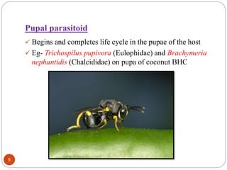 Types of parasitoids and parasitism ppt | PPTX
