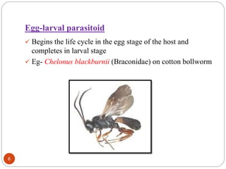 Types of parasitoids and parasitism ppt | PPTX