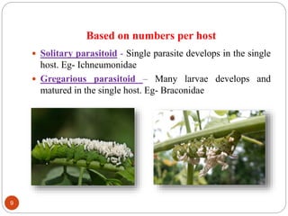 Types of parasitoids and parasitism ppt | PPTX