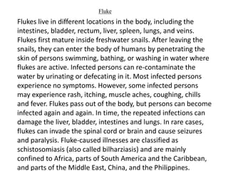 Types of pathogen | PPTX