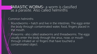 Types of pathogen | PPTX