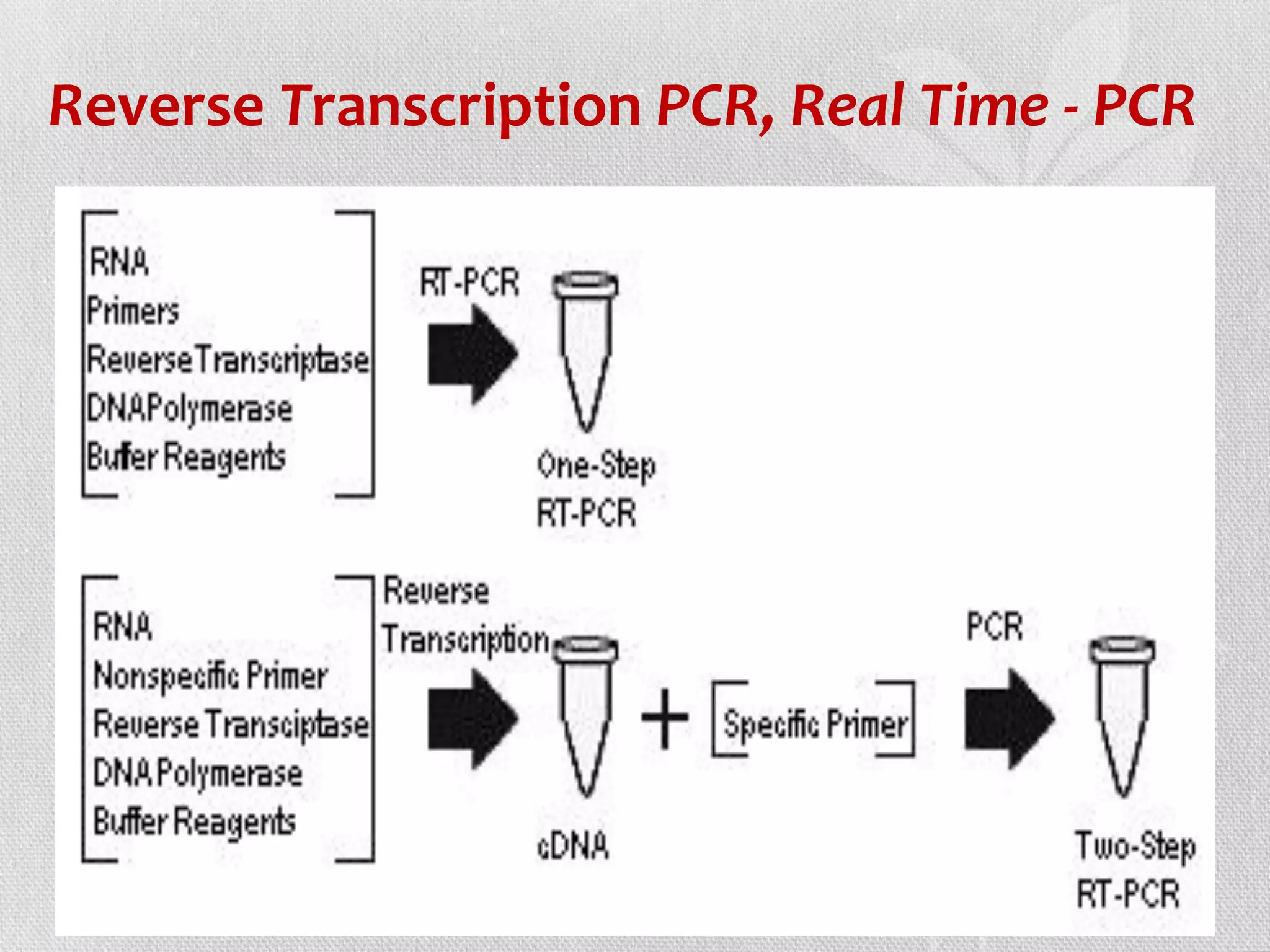 Types of PCR | PDF