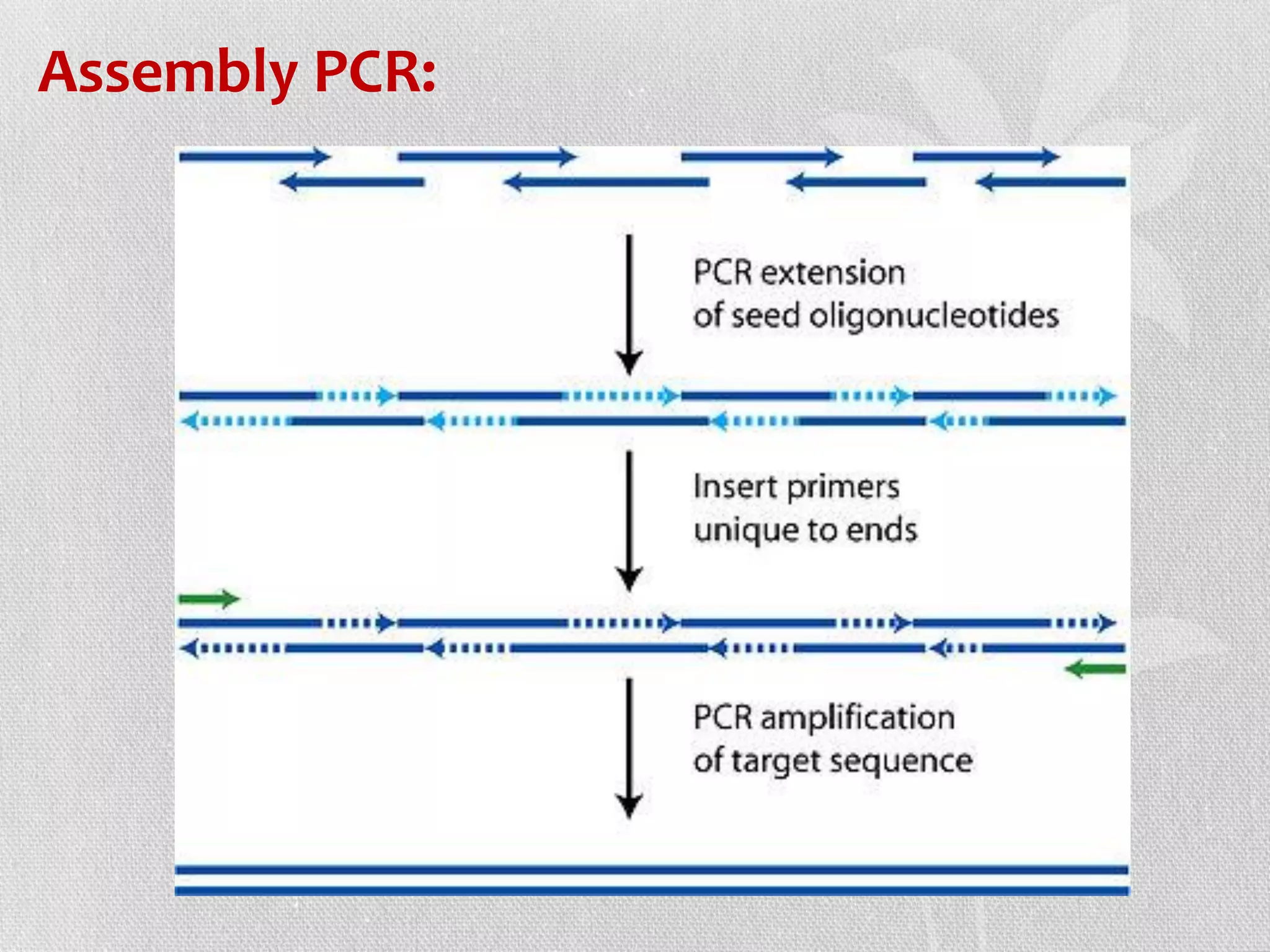 Types of PCR | PDF