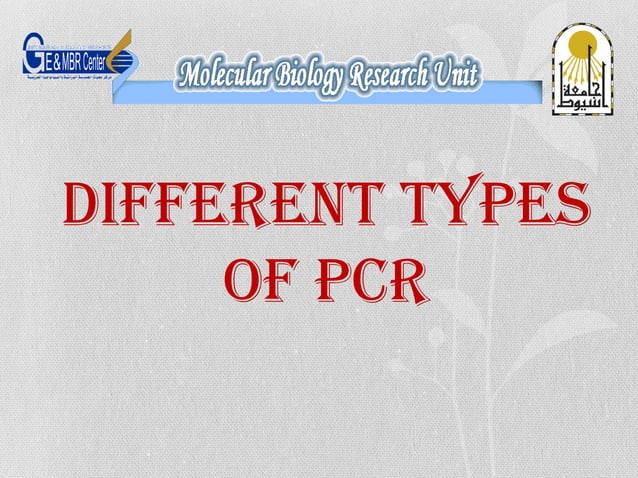 Types of PCR | PDF | Chemistry | Science