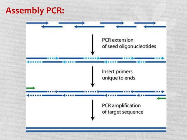 Types of PCR | PDF | Chemistry | Science