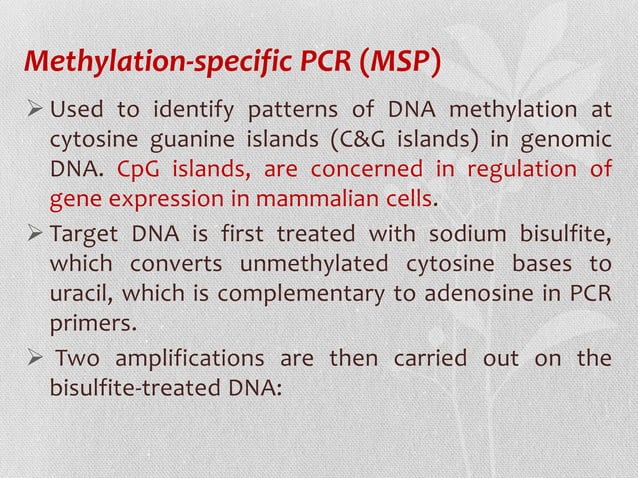 Types of PCR | PDF | Chemistry | Science