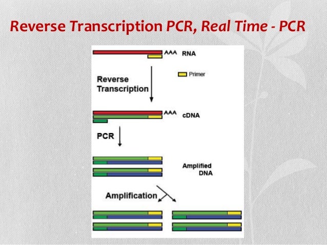 Types of PCR