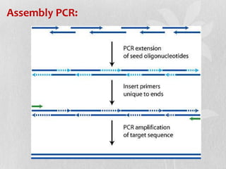 Different Types of PCR | PDF