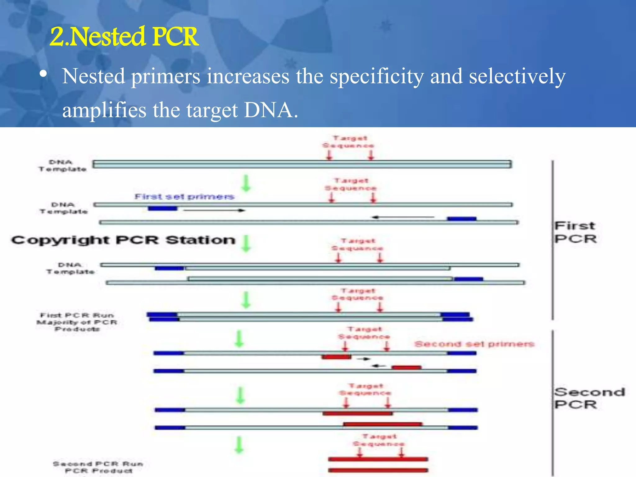 Types of PCR | PPT
