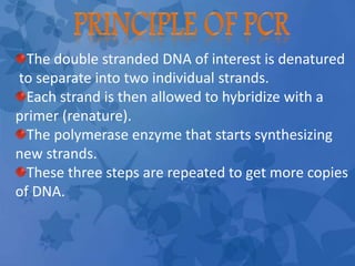 Types of PCR | PPT