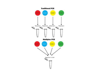 Types of pcr | PPTX